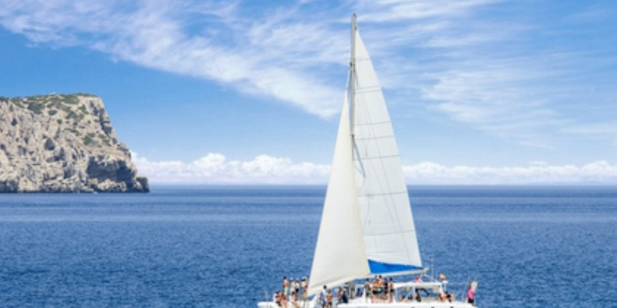 Passion Cat | Dynamic Lives